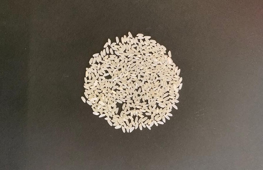 AUGUSTO : RISOTTO | Ricettario di ricette di riso italiano