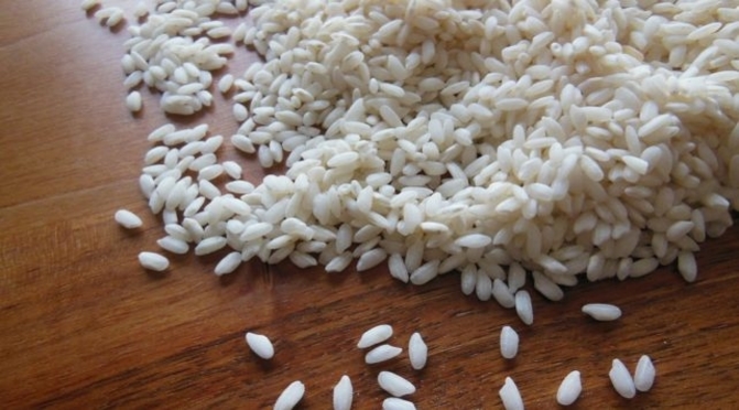 MATURAZIONE E RACCOLTO DEL RISO