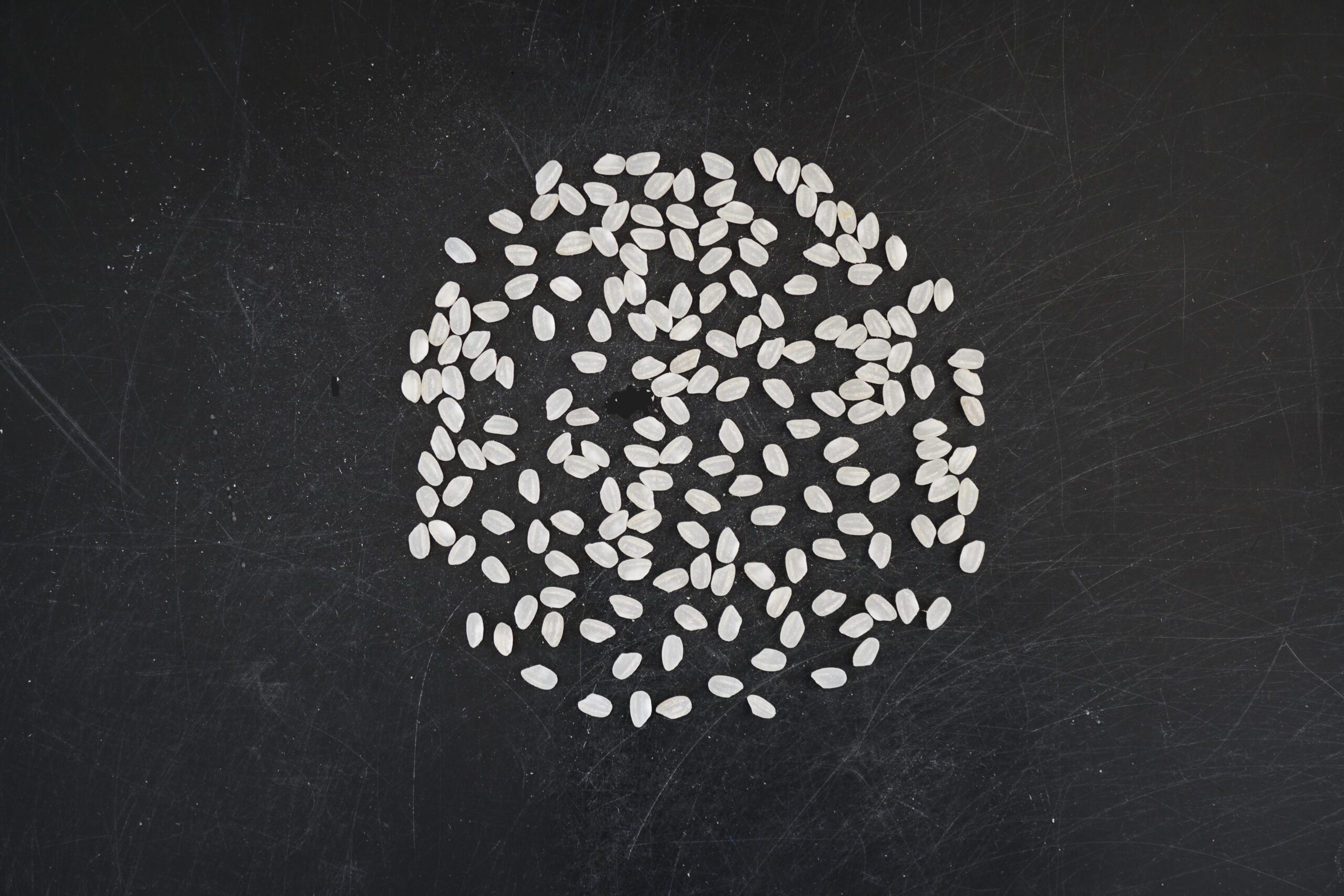 ARDEA : RISOTTO | Ricettario di ricette di riso italiano