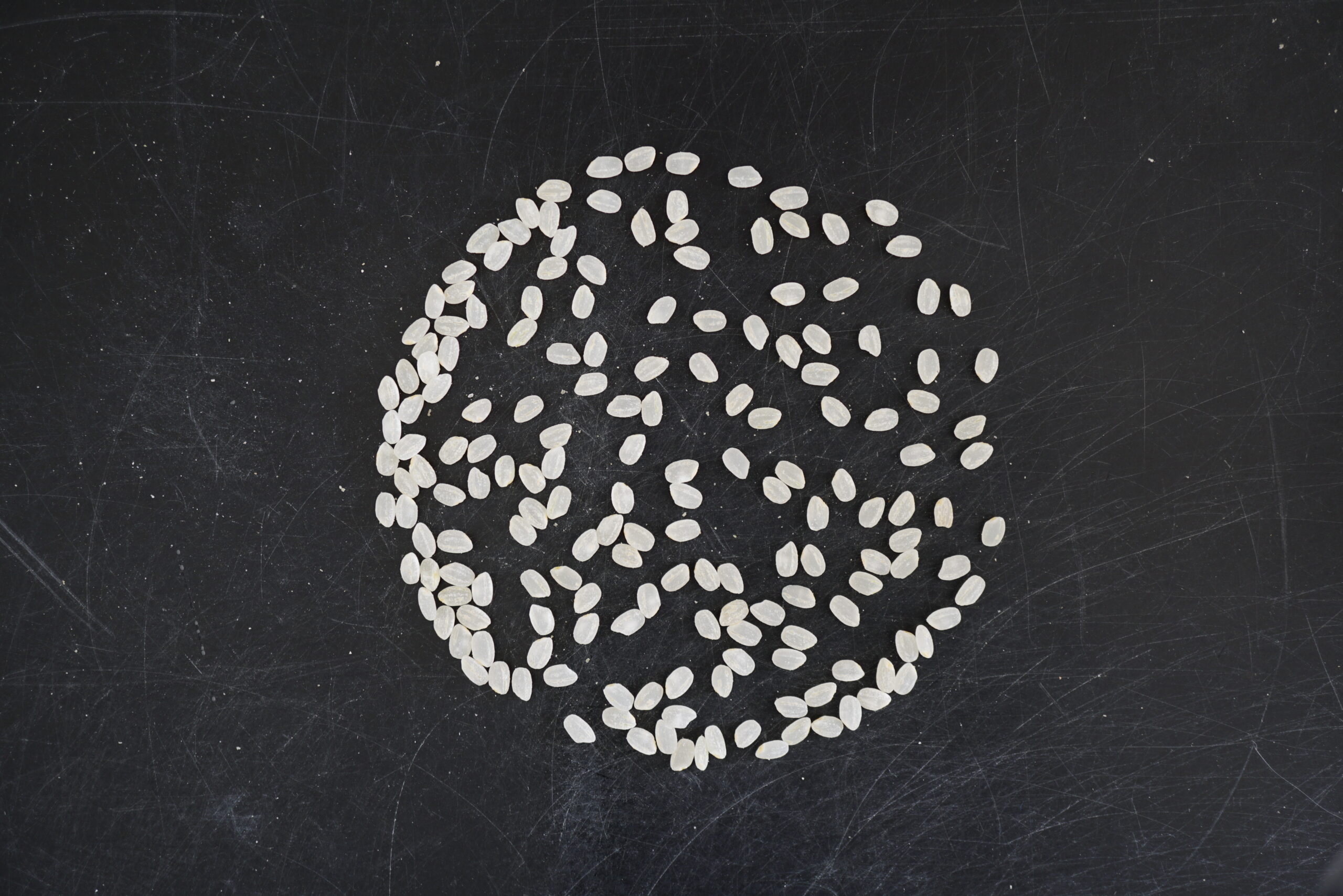 ARISTOTELE : RISOTTO | Ricettario di ricette di riso italiano